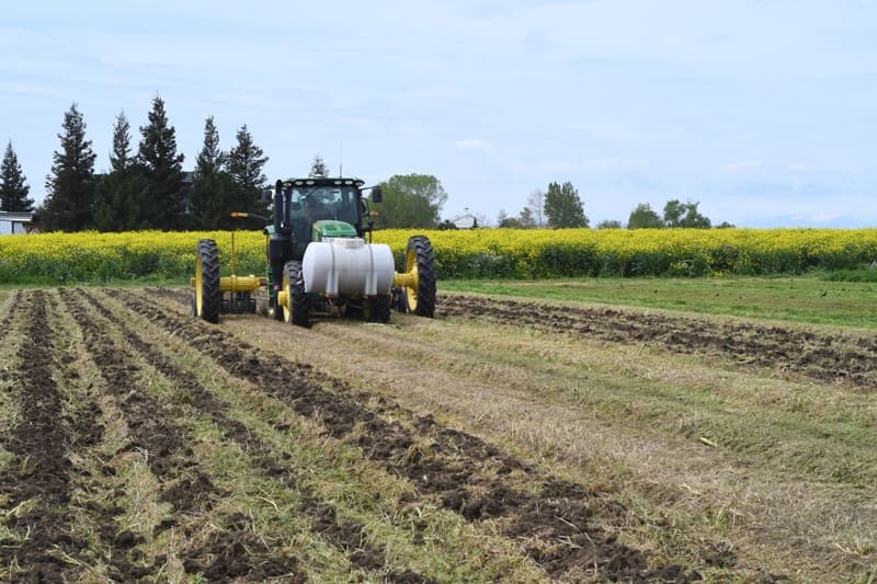 California Strip-Till