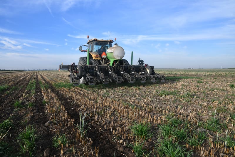 California Strip-Till
