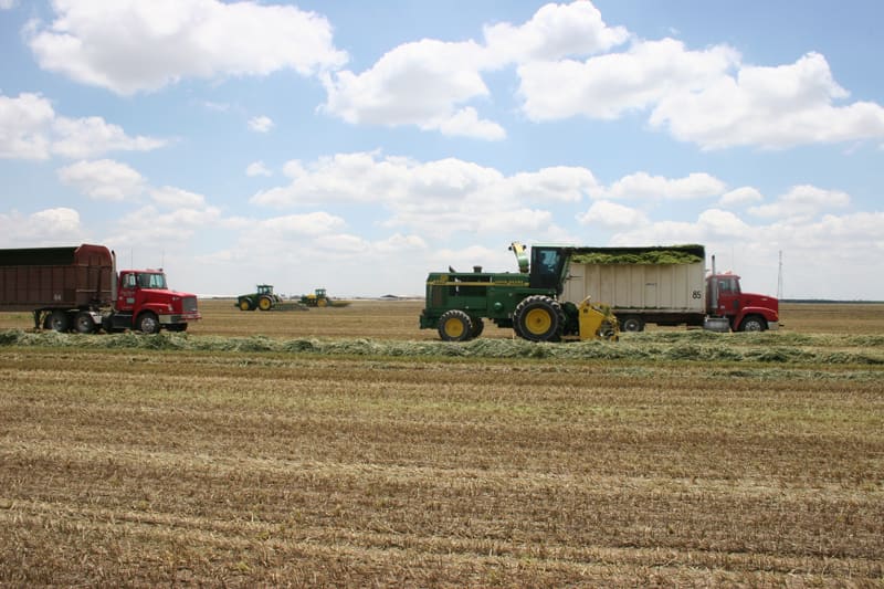 California Strip-Till