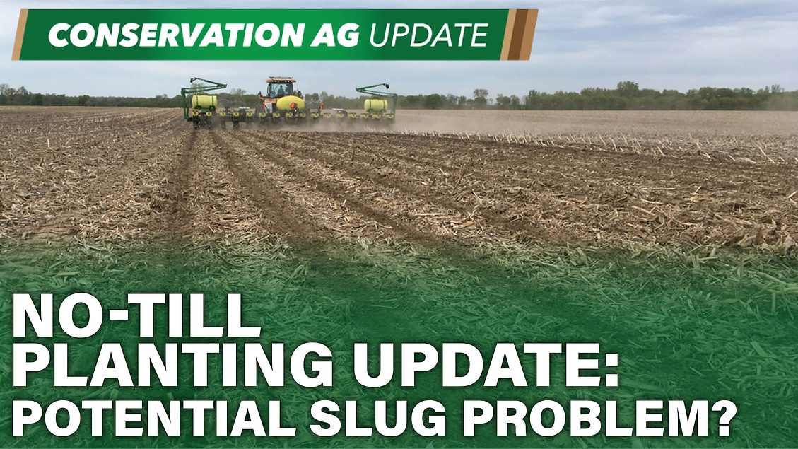 No-Till Planting Update: Potential Slug Problem?