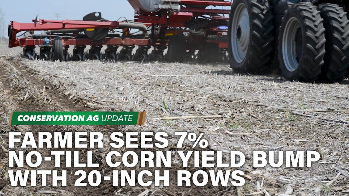 Farmer Sees 7% No-Till Corn Yield Bump with 20-Inch Rows