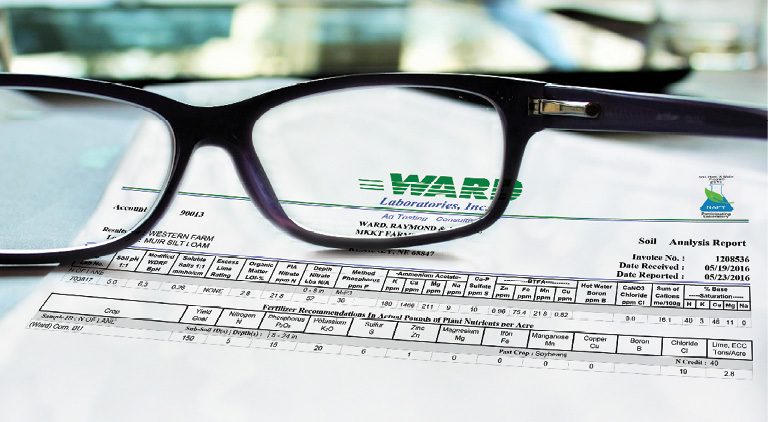 How to Read a Soil Test Report