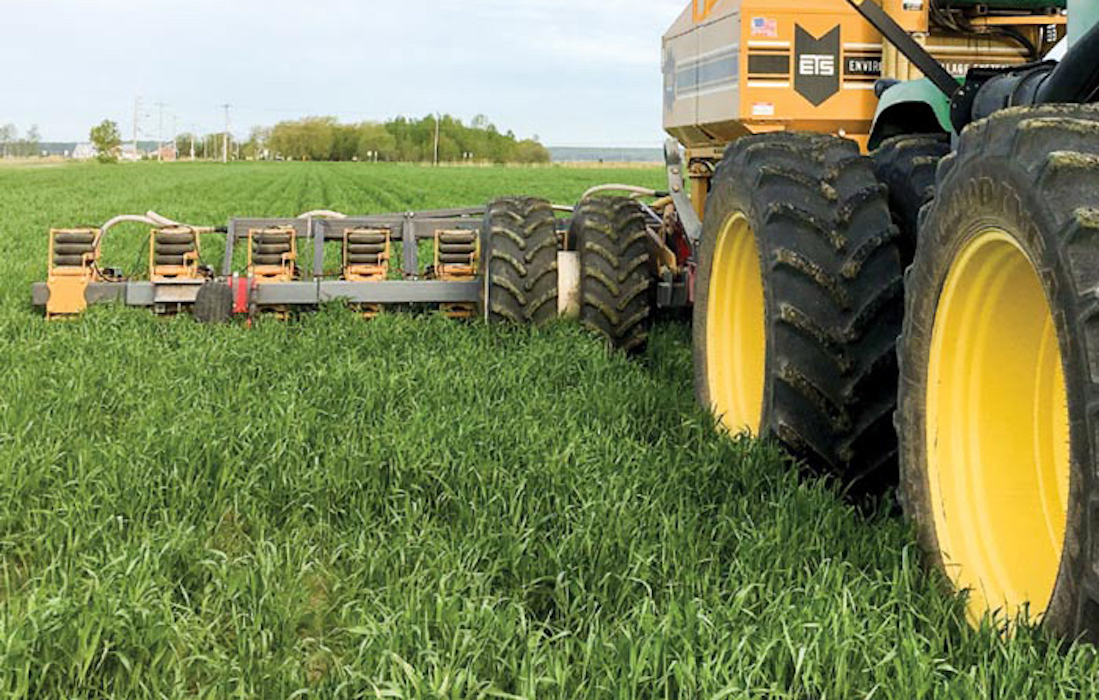 Bio-Rehabbing Soil with Strip-Till & Cover Cropping