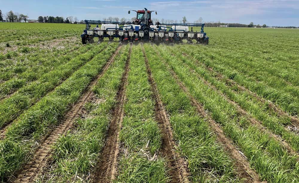 Strip-Till & Cover Crops Offer the ‘Best of Both Worlds’