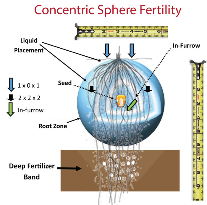 Concentric Sphere Fertility Feeds High-Yielding Corn All Season