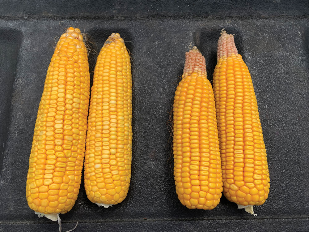 Farmers in 6 Different Counties Reap Benefits of 2-Pass Strip-Till System