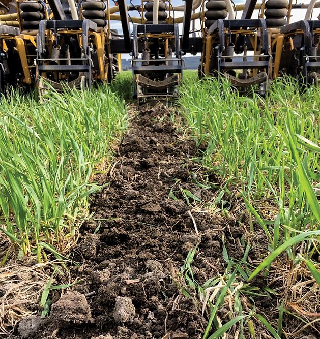 Boosting Soil Function by Adding Cover Crops in a Strip-Till System