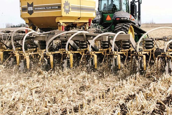 Cover Crops Scavenge Valuable Nutrients in Strip-Till System