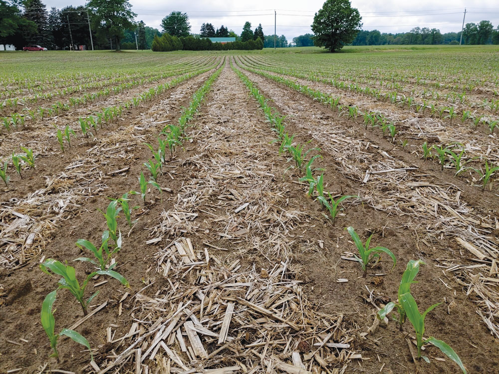 Multi-Tasking Vertical Tillage Tools an Asset for Strip-Tillers