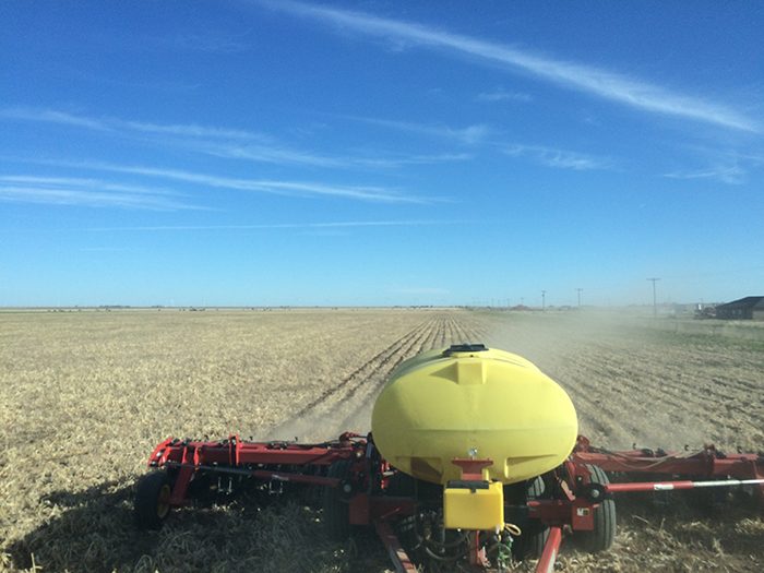 Strip-Till & Cover Crops Transform Texas Grain Farm
